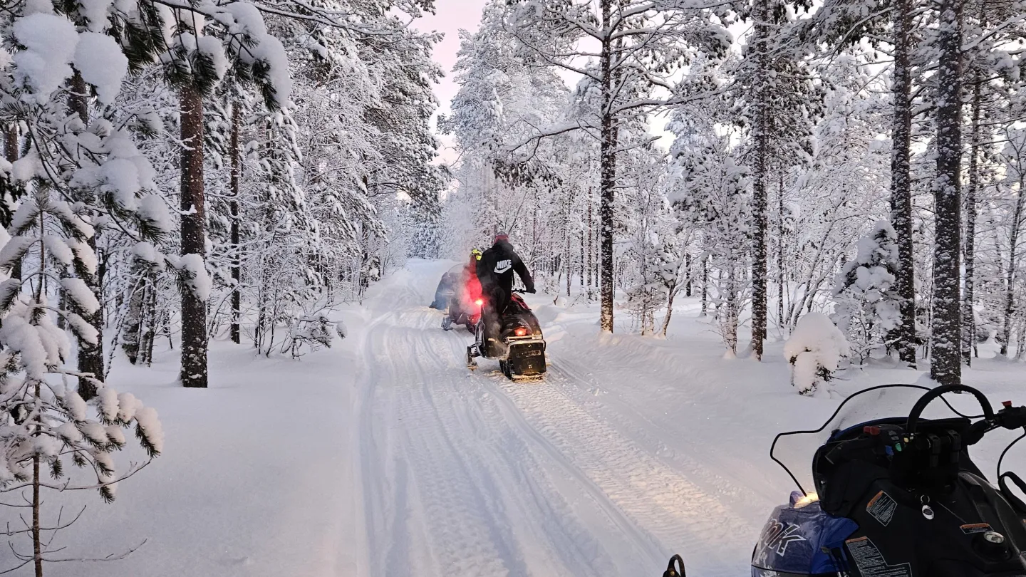 Guided snowmobile tours | Visit Robertsfors